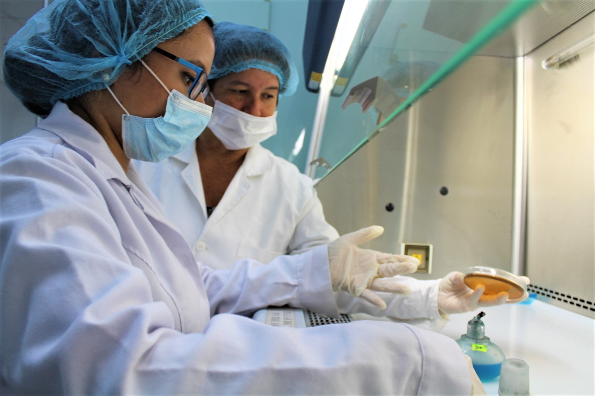 ::UNT:Universidad Nacional de Trujillo::